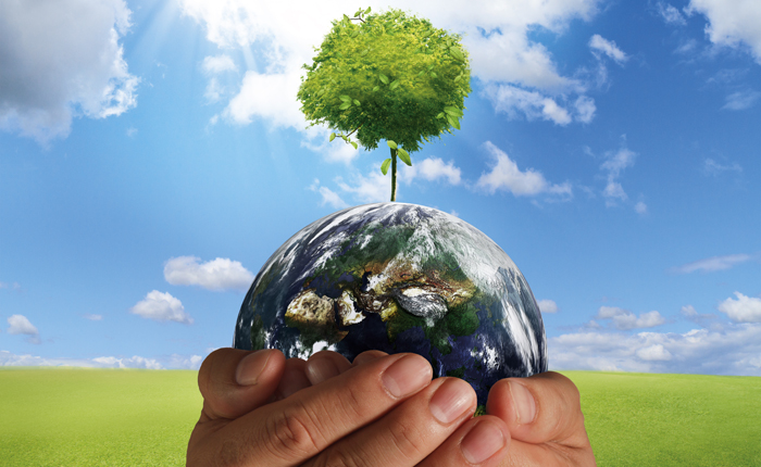 Cursus Natuurwetenschappen als thuisstudie | NHA